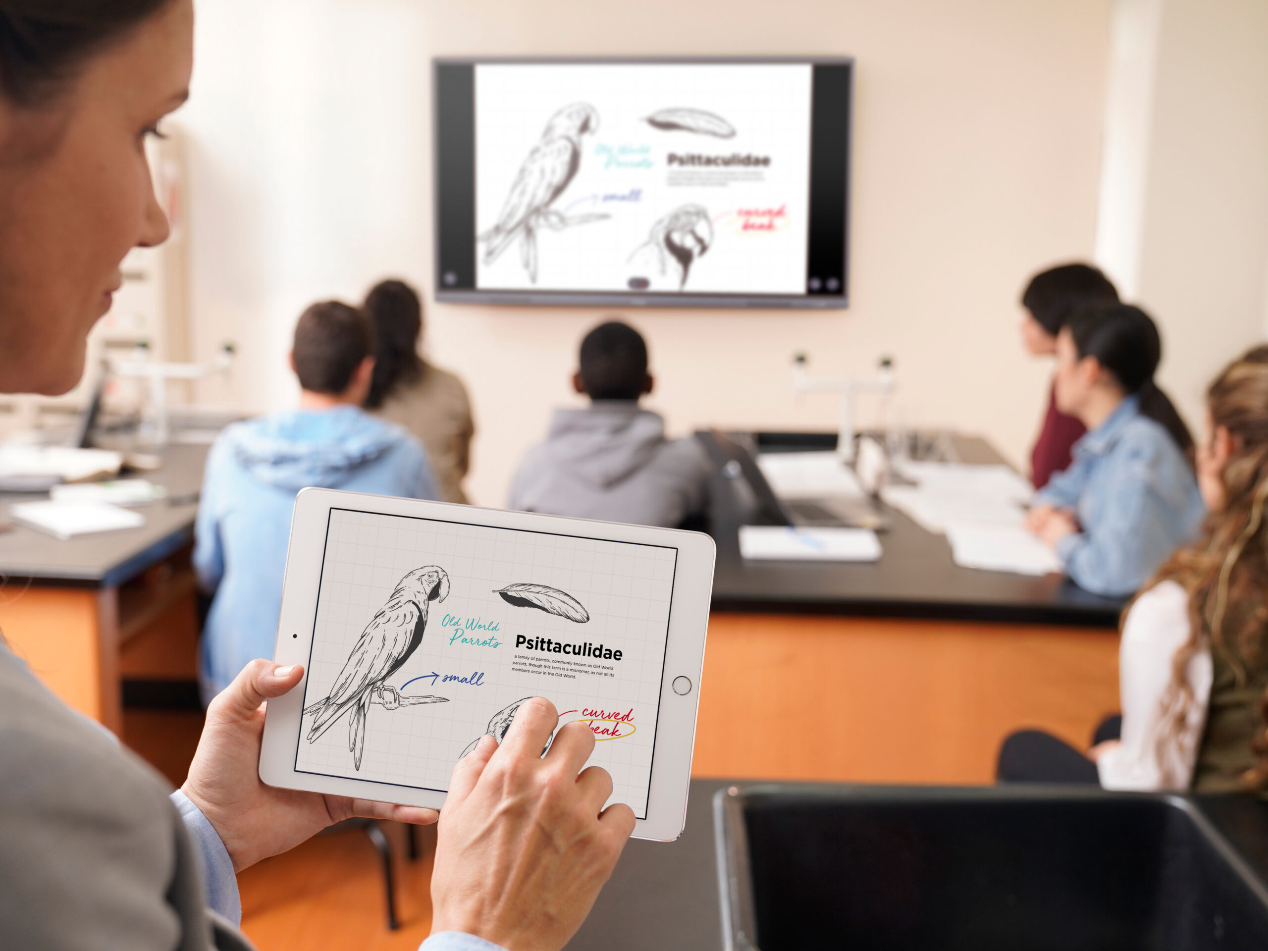 How to Enable Screen Sharing in the Classroom with AirSync